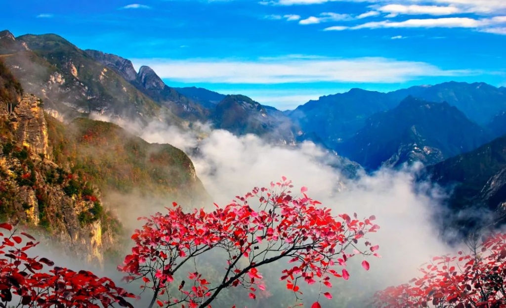 The forecast of the best viewing period for red and colorful leaves in ...