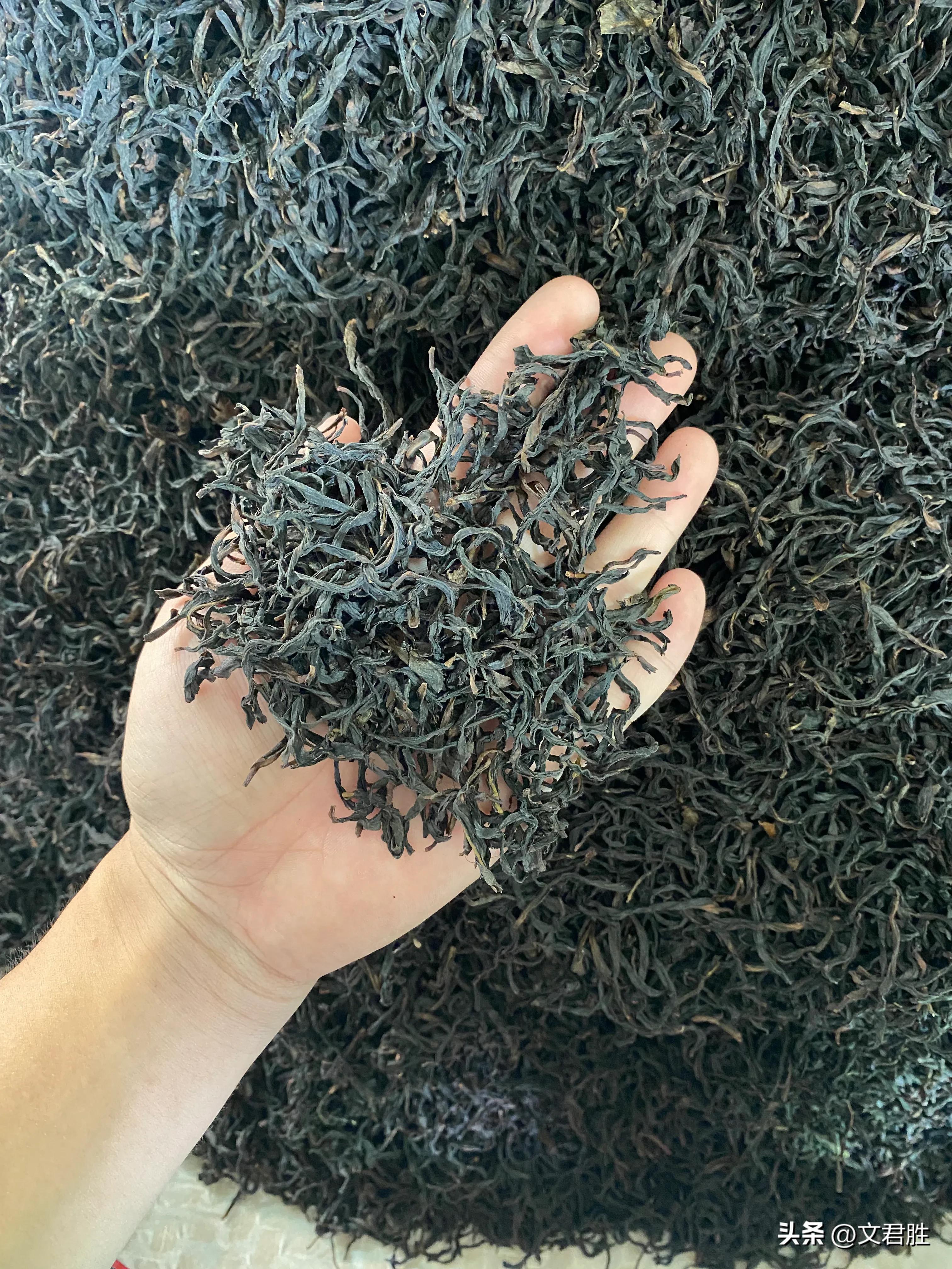 Is Duck Shih Hong a tea that is more fragrant than water? - iNEWS