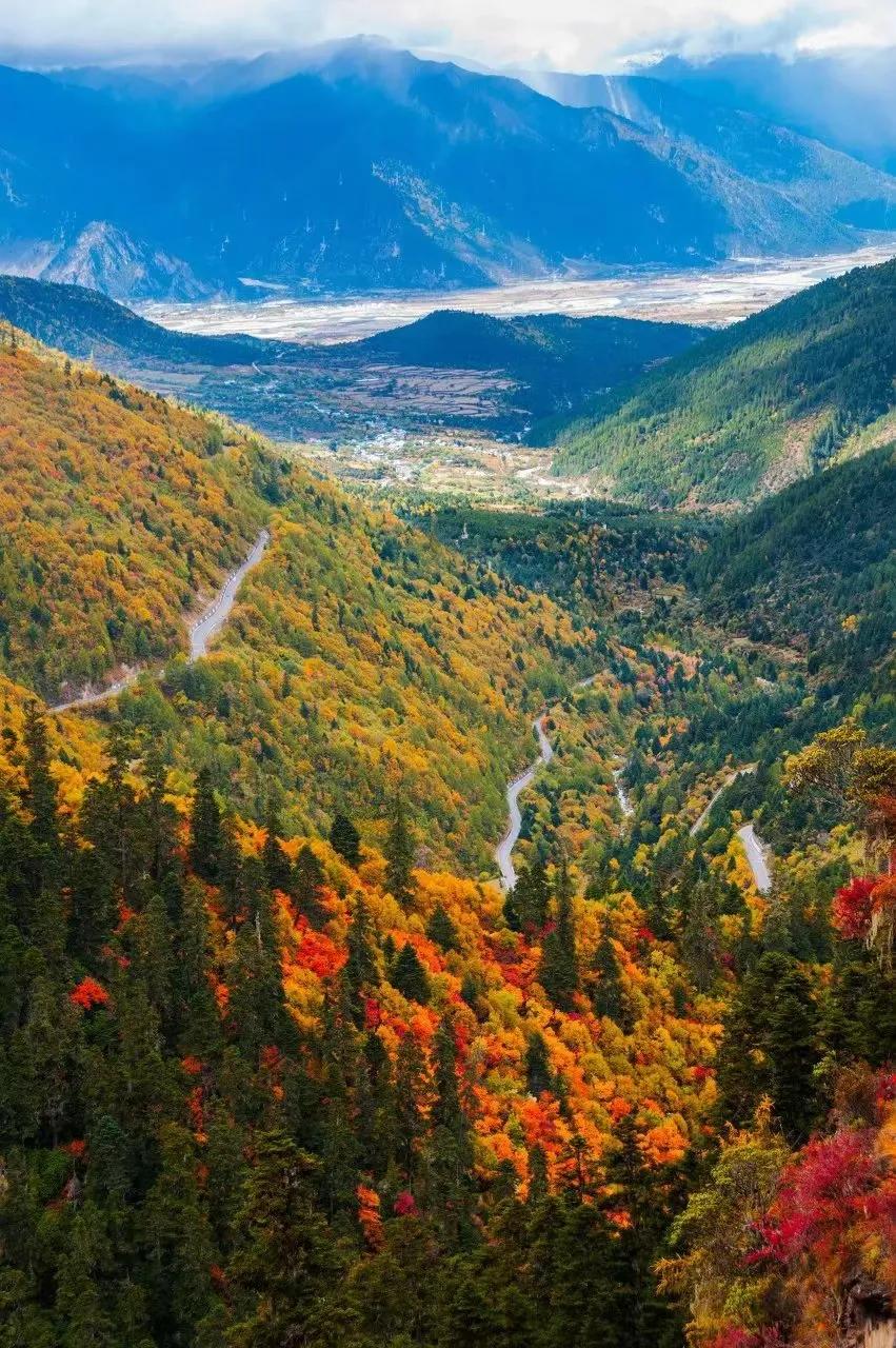 Fenglian Pinecui and Jing Zhizhi - iNEWS