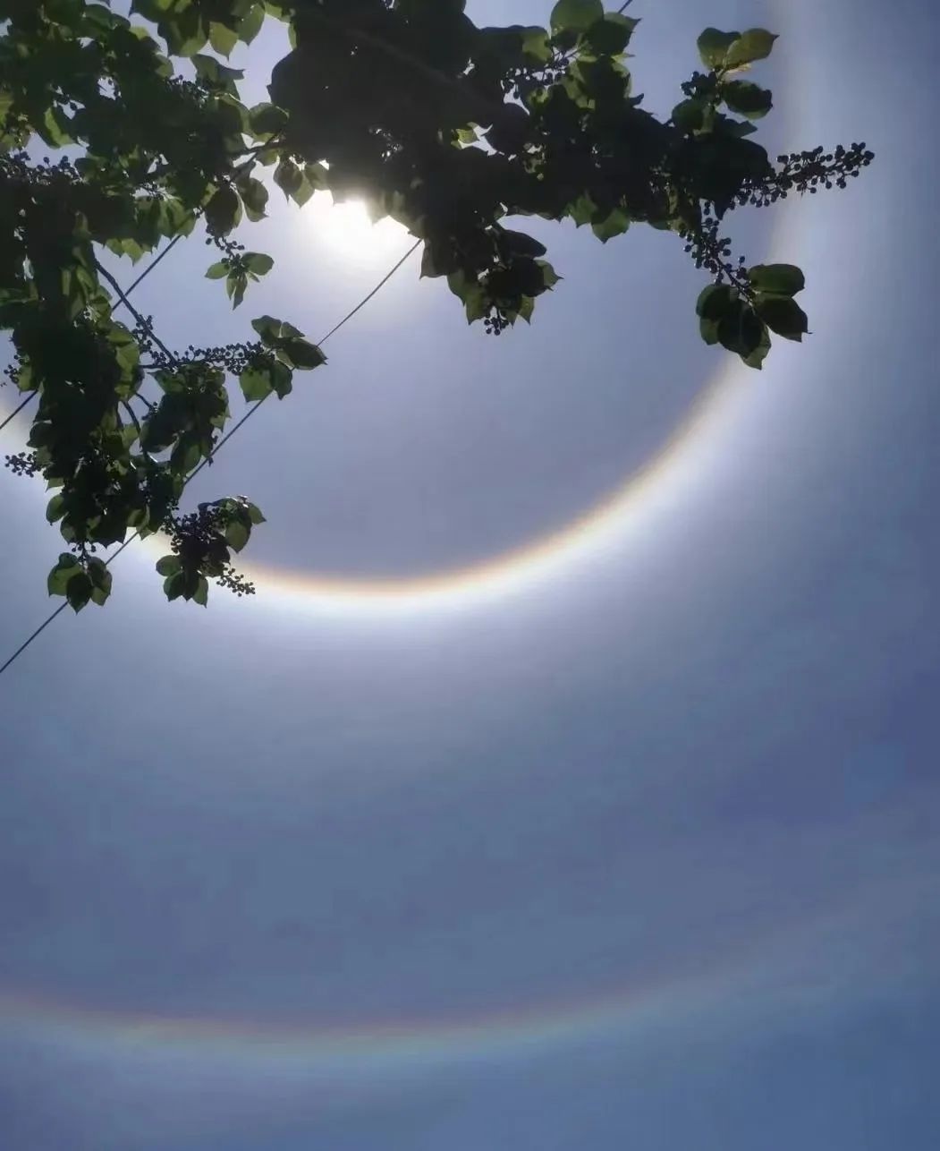 so gorgeous! Astronomical spectacle solar halo appeared in Wuhan - iMedia
