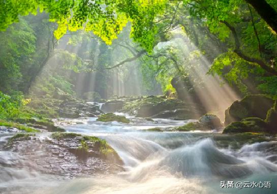 A gifted scholar lived in seclusion in the mountains, and wrote a poem ...