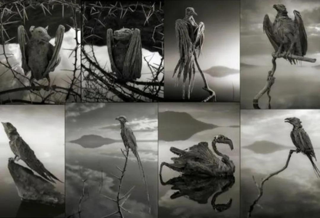 The most fascinating of the most dangerous!Beautiful lake that can ...