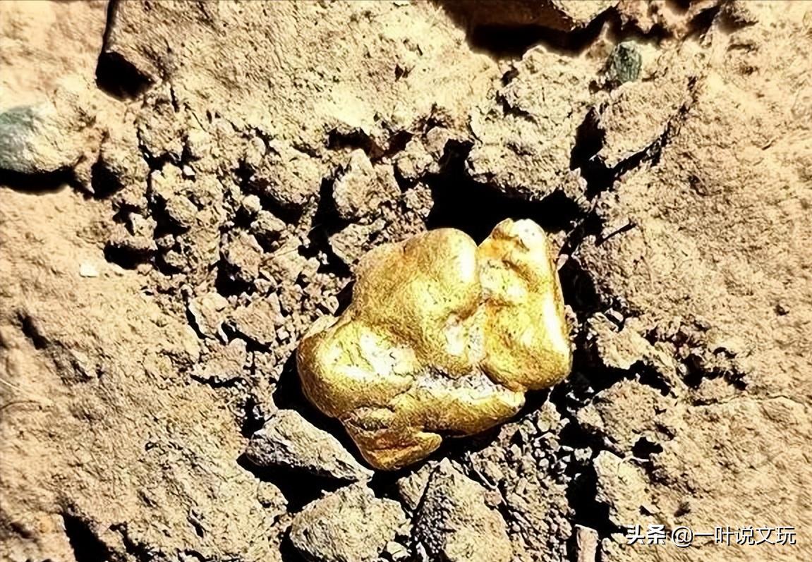 What is "dog head gold", and do I need to turn it in after I find it ...