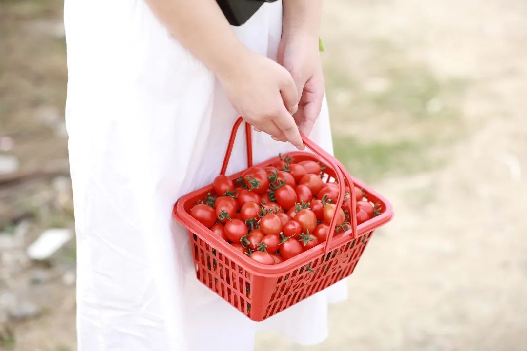 The fruit is just ripe, come to Chengdu to give your mouth a holiday ...