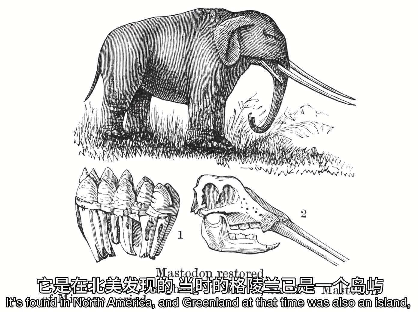Spanning two million years of history! Record-breaking ancient DNA ...
