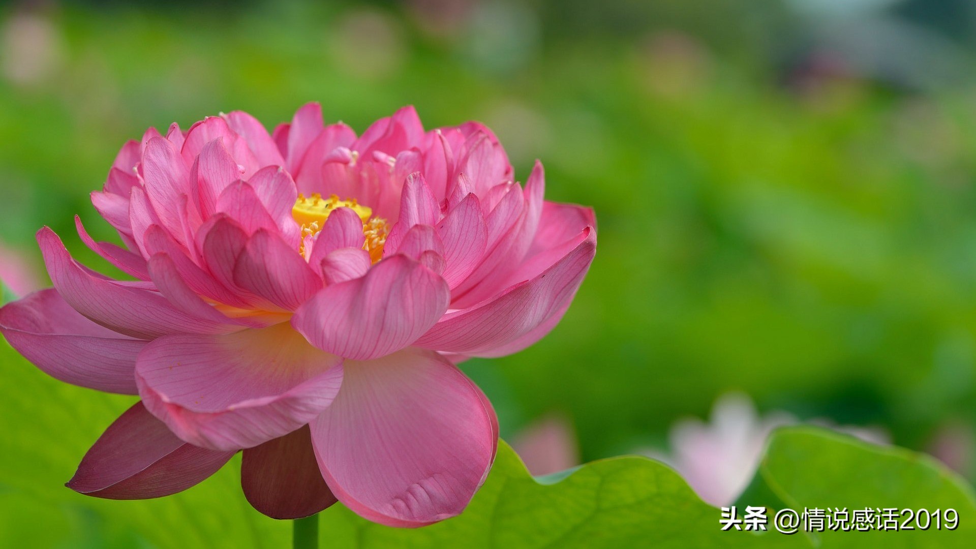 Xiaozhou has since passed away, and the rest of his life will be sent ...