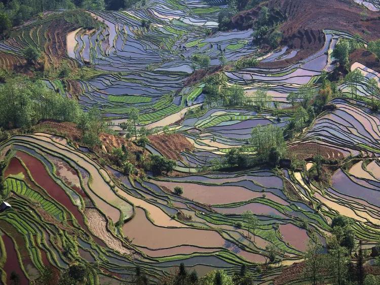 Twelve tourist attractions in Honghe Prefecture, Yunnan, to appreciate ...