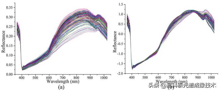 ImSpector Imaging Spectrometer - iNEWS