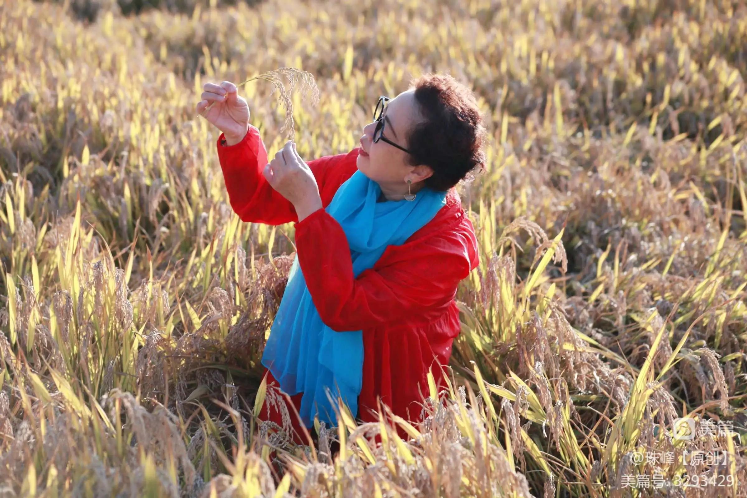 Mount Everest Photography "Like Watching the Thousand Waves of Rice ...
