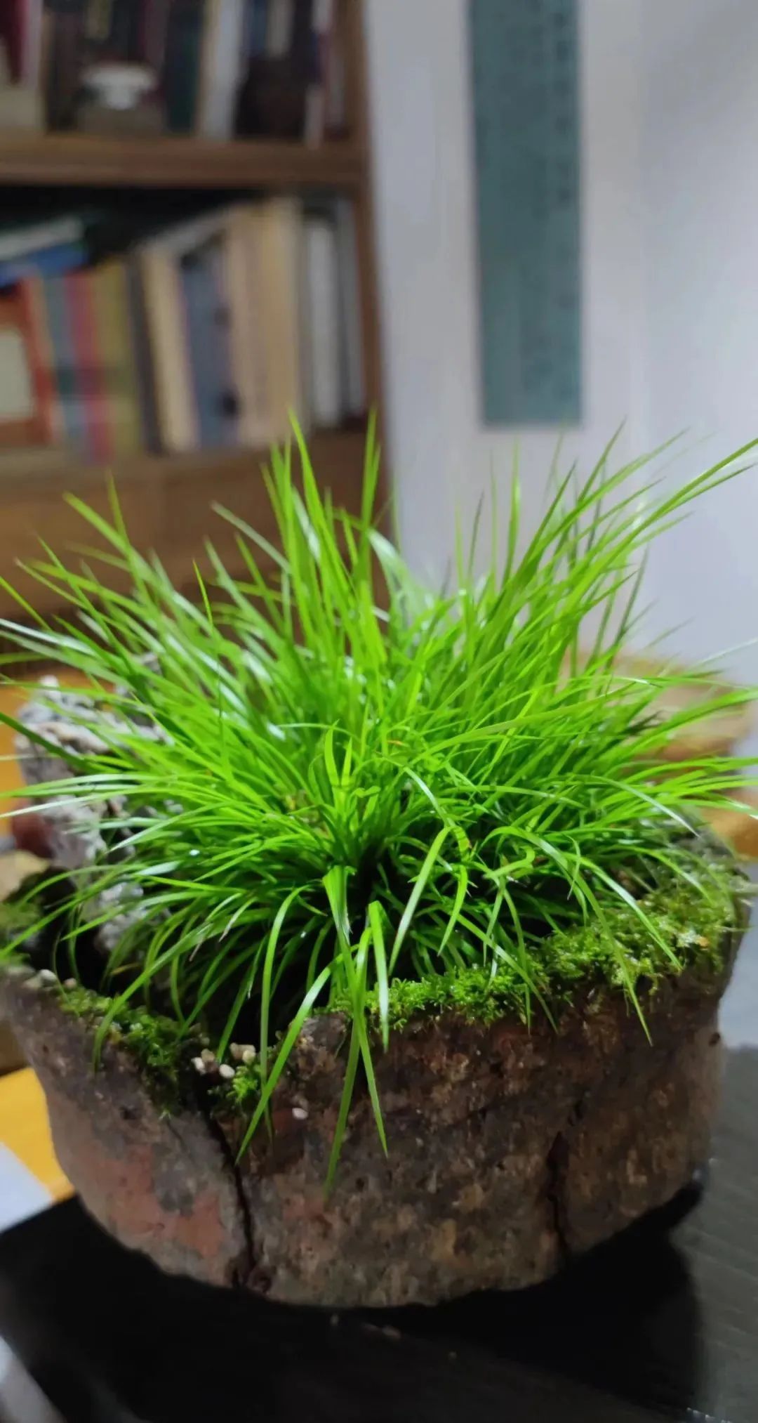 Drink tea and enjoy the pu, cool and relieve the heat - iMedia