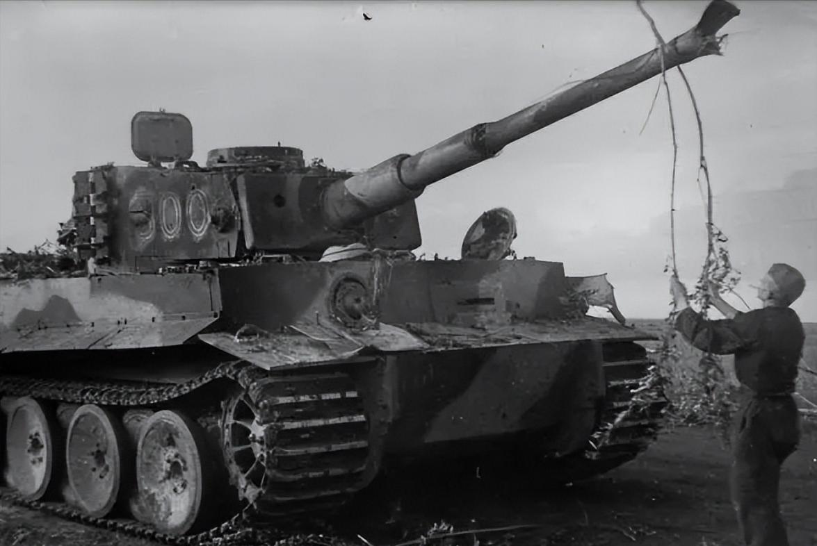 Overlord of the Eastern Front: Tiger Tank, an amazing exchange ratio of ...