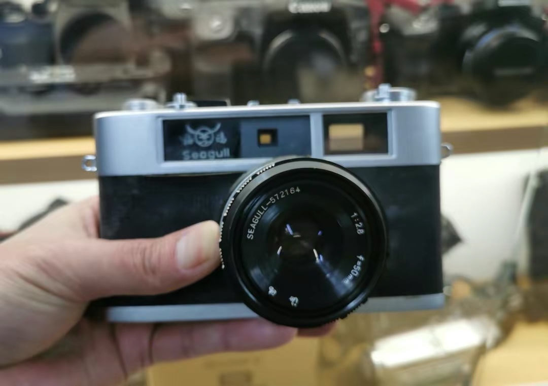 The "205" camera named by two birds: how many families used to be the ...
