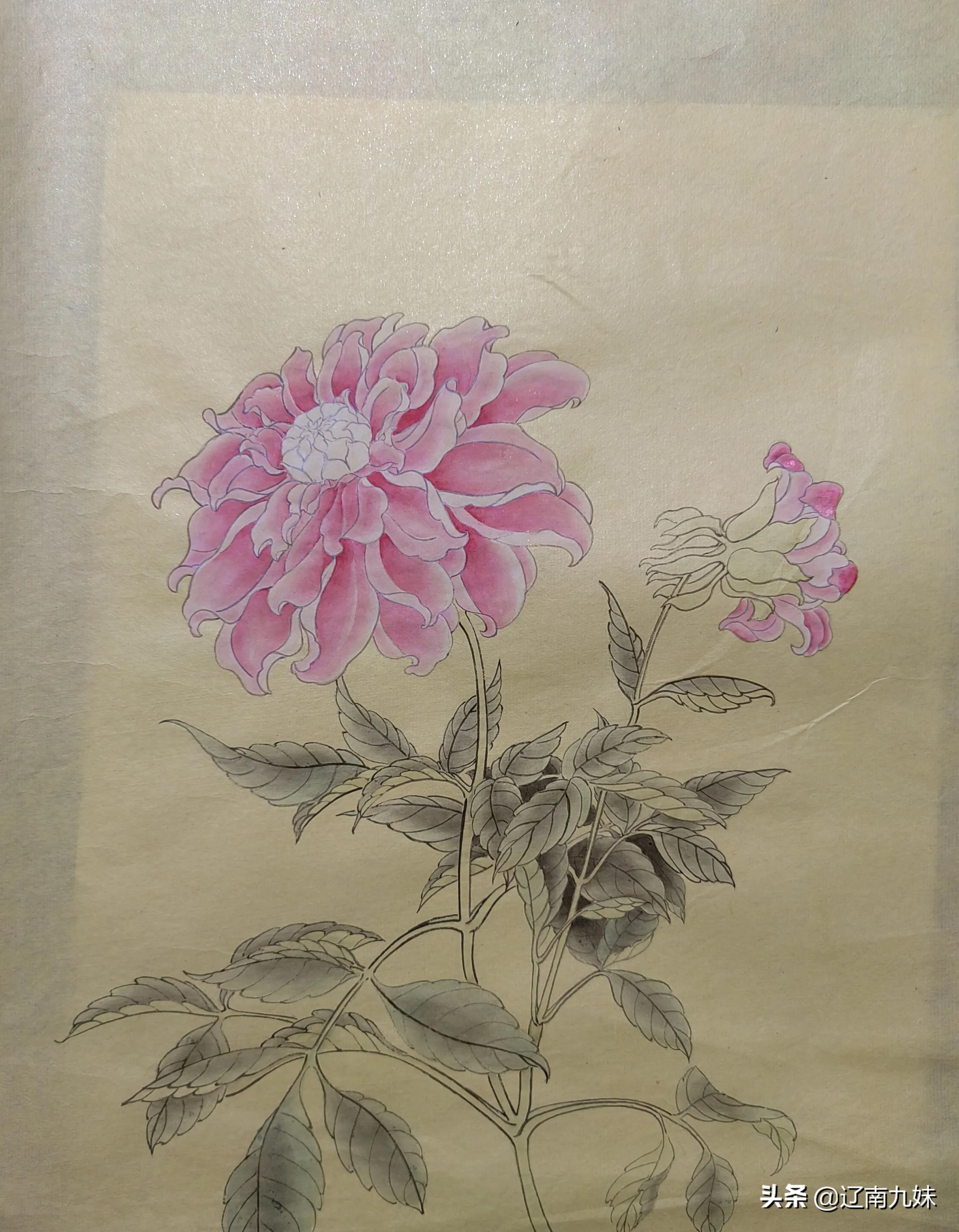 Drawing process of fine brushwork flowers - iNEWS