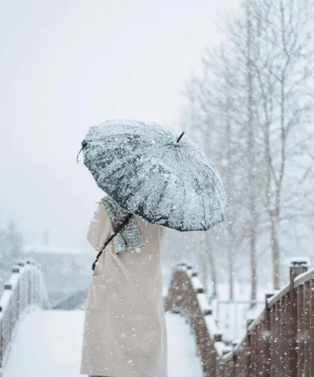 What are the tips for shooting snow scenes?Get the most beautiful snow ...