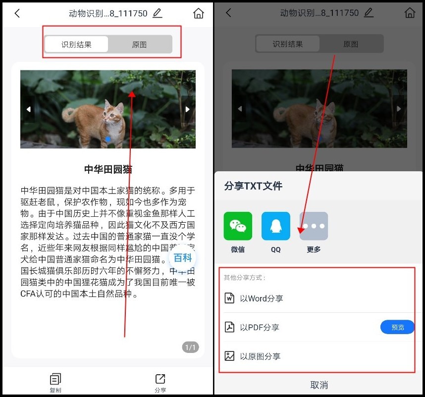 How to identify animals by scanning? Tips for identifying animals - iMedia