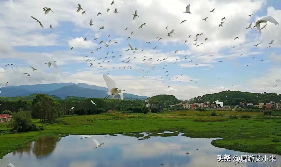 Hidden in Guangzhou Zengcheng Egret Resort - iNEWS