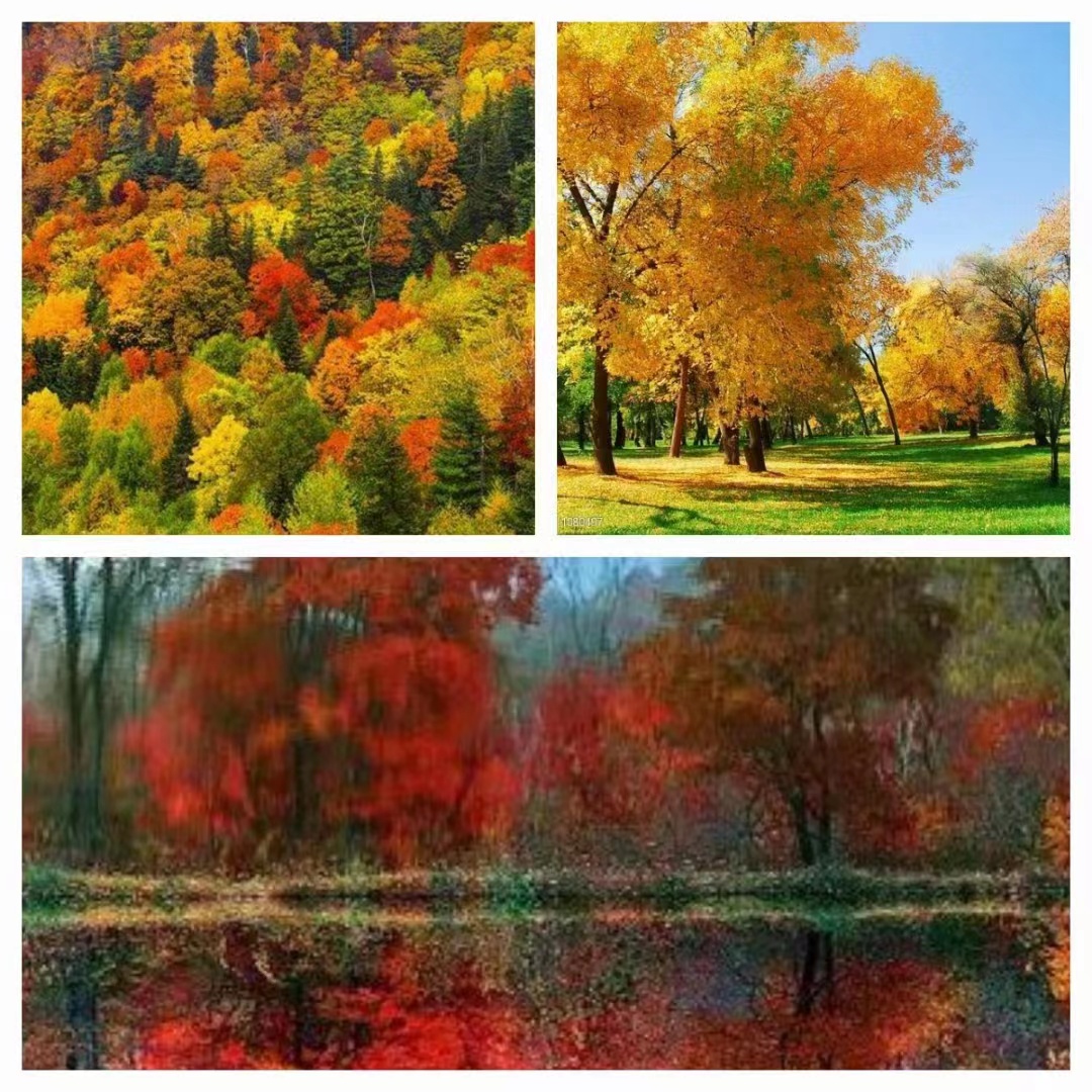 On a late autumn outing, I met Sun Zhong's father (Ting Yu Xuan) - iNEWS