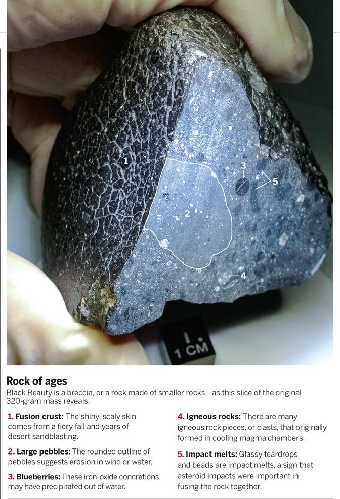 Meteorite collector Jay Piatek and his black beauty Martian meteorite ...