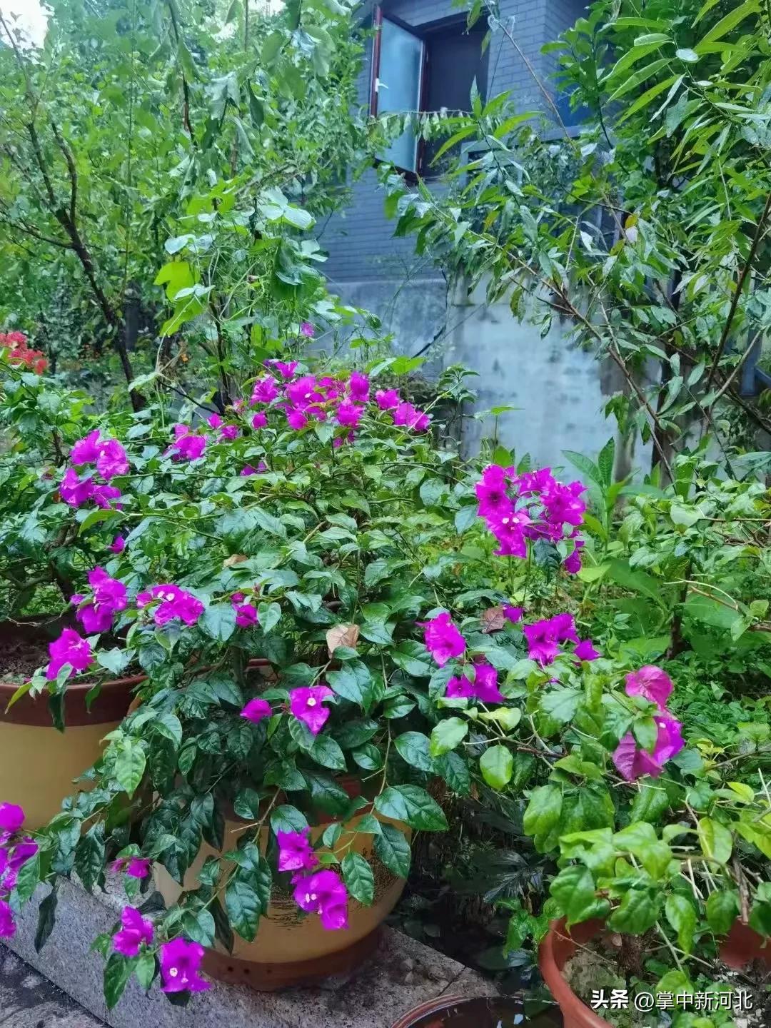 Suddenly fall - iNEWS