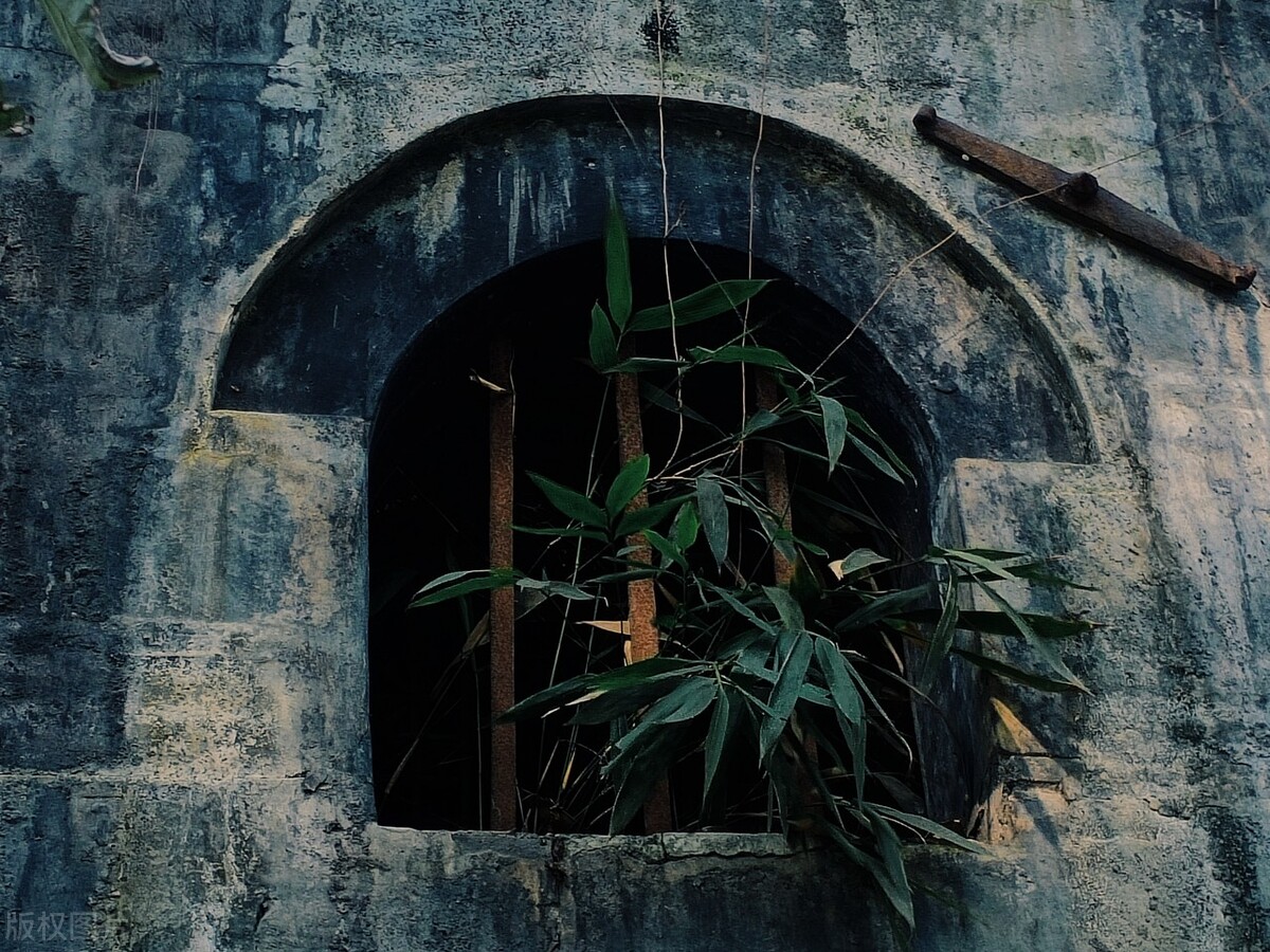 Two boxes of goods plus a mud tire prove who Xue Pan is - iNEWS