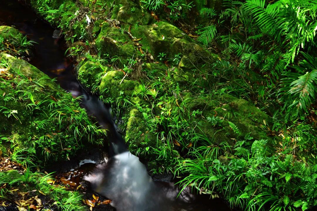 The 8 most incisive sentences of Confucius, each sentence is worthy of ...