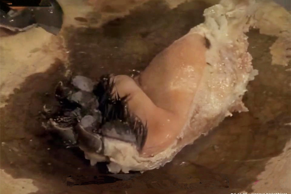 How to cook the bear paw in "Shangbazhen"? The old documentary will take you to reveal the ...