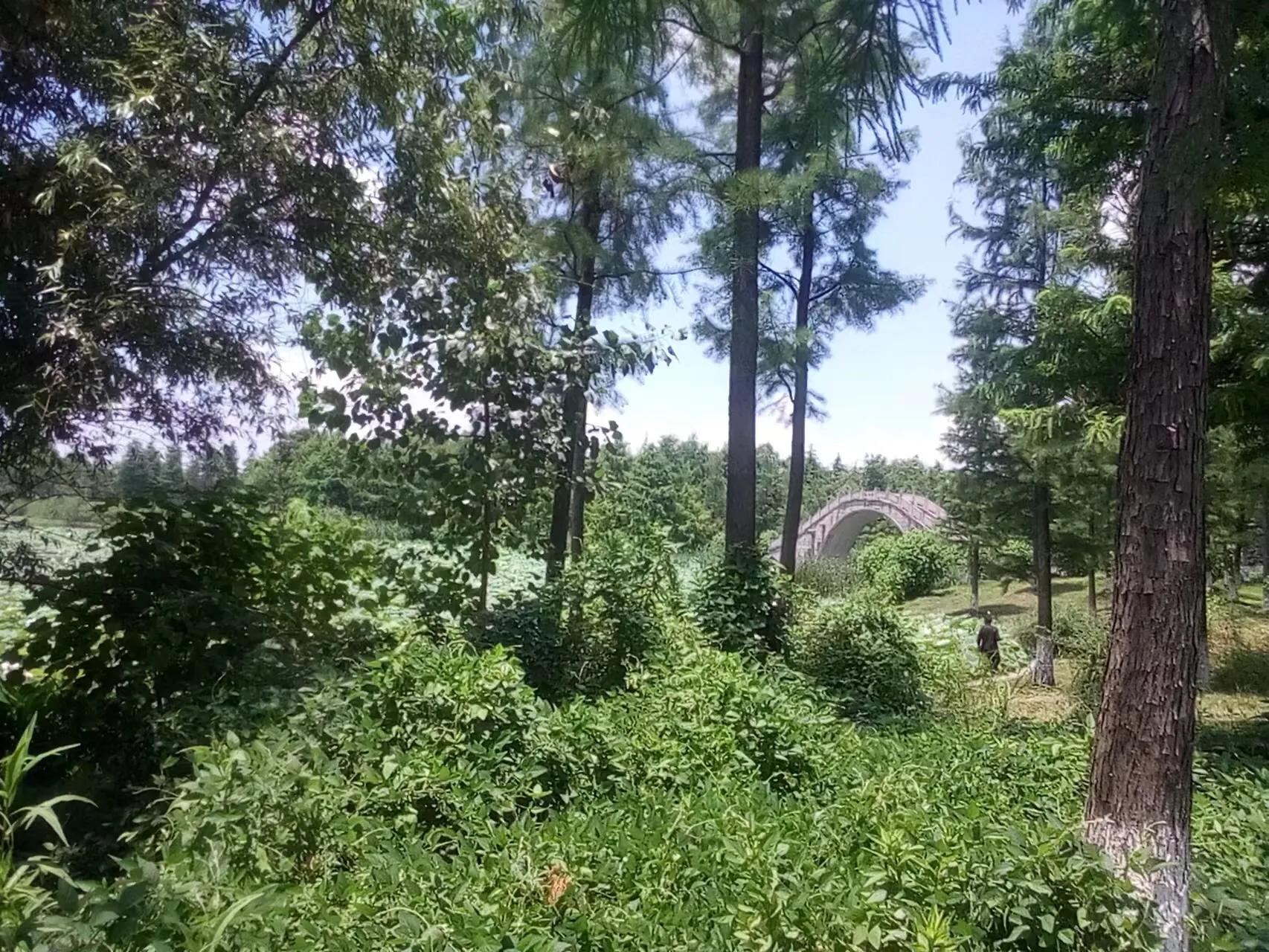 Shang Yang - Made by Qin State Daliang - iNEWS