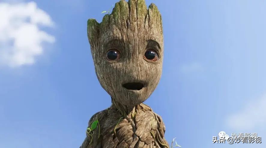 There are not many cute words - "I am Groot" - iNEWS