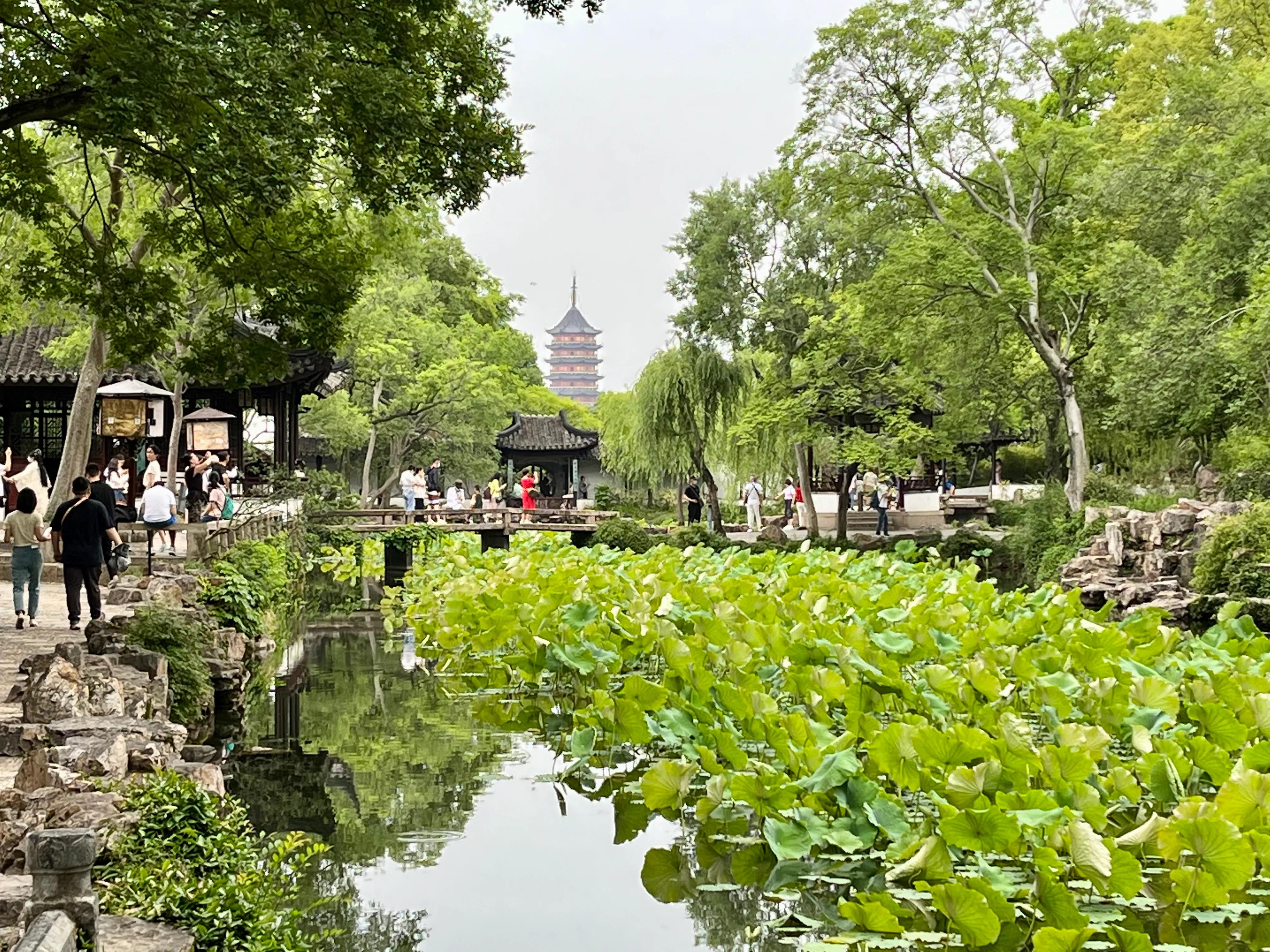 Hidden in the city, walk into the Humble Administrator's Garden in ...