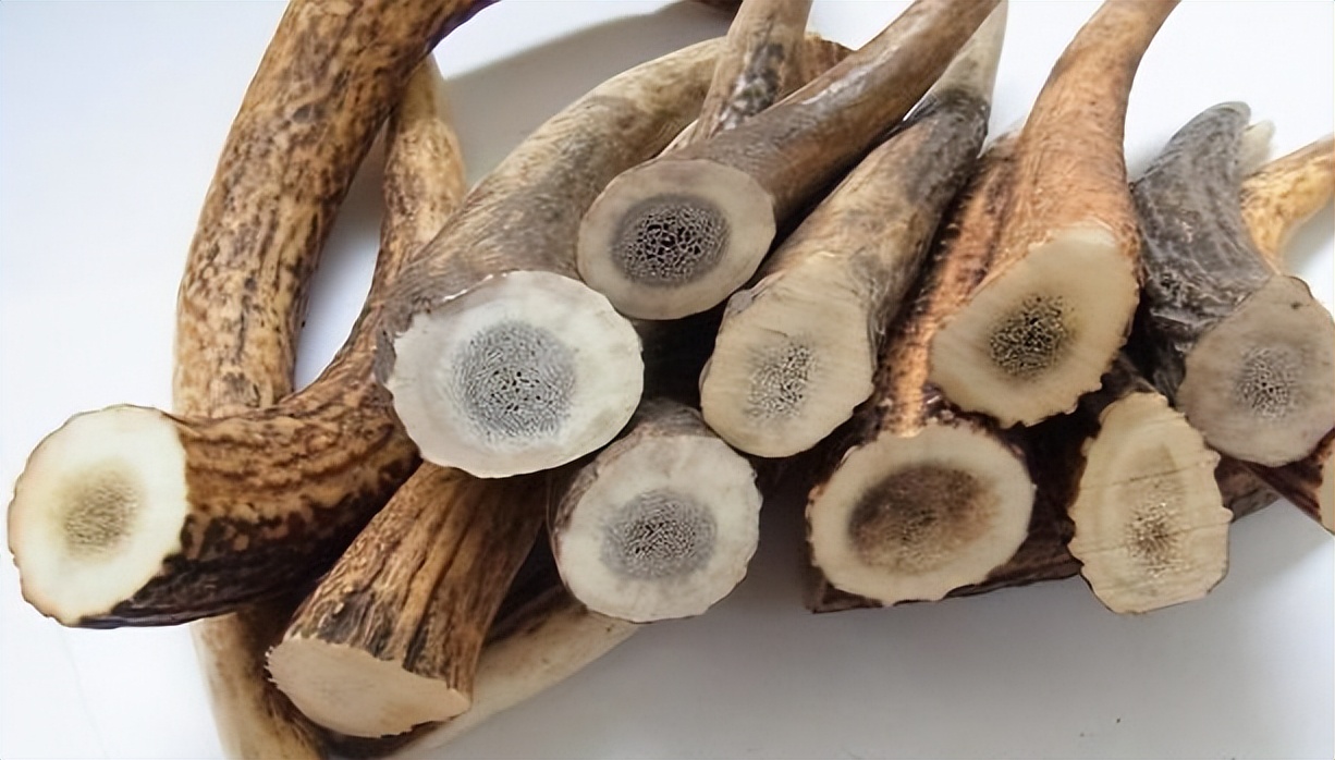 Take you to identify the antlers - iNEWS