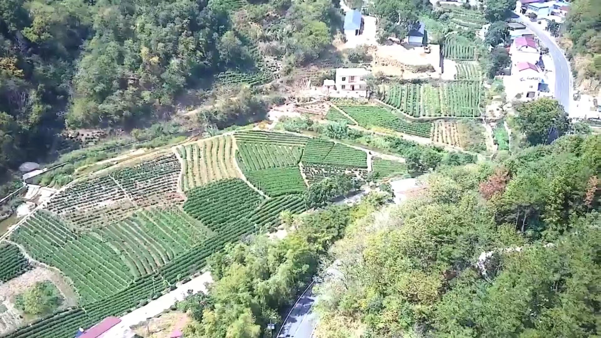 Preface to "Dunhoutang" and "Wang's Genealogy" in the Sixth Revision of ...