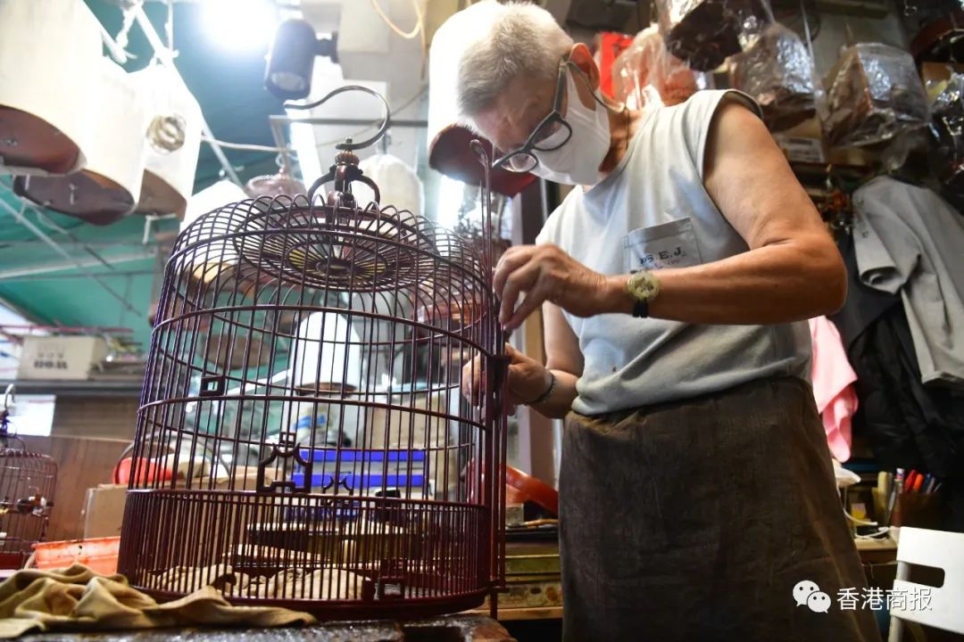 Hand-made bird cages are like works of art for birds to have a ...