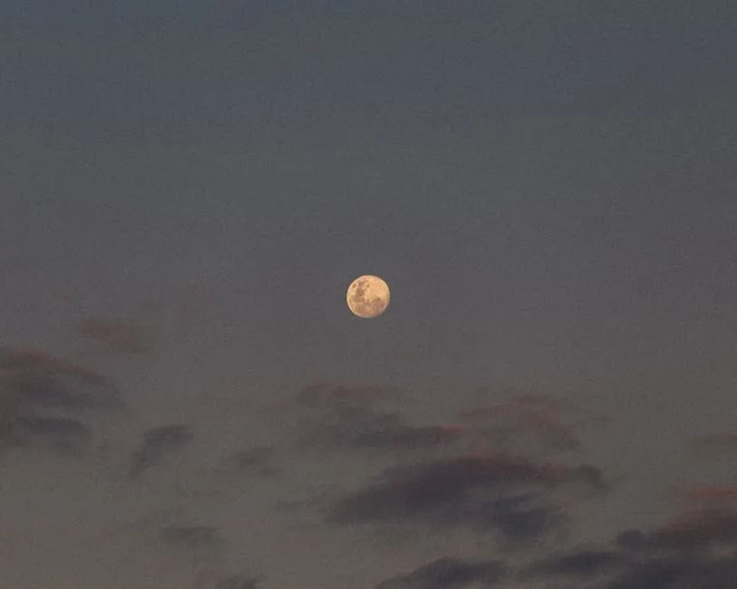 Xi Murong's 9 poems: I once stepped on the moon and came here, just ...