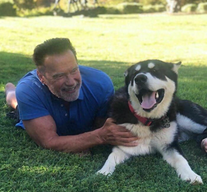 30 photos tell you what kind of dogs celebrities keep. Netizen: Dwayne ...