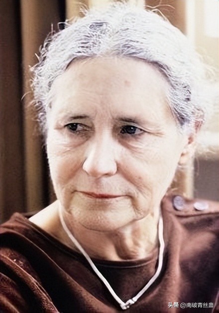 Doris Lessing's views on western culture from the intention of "dog" in ...