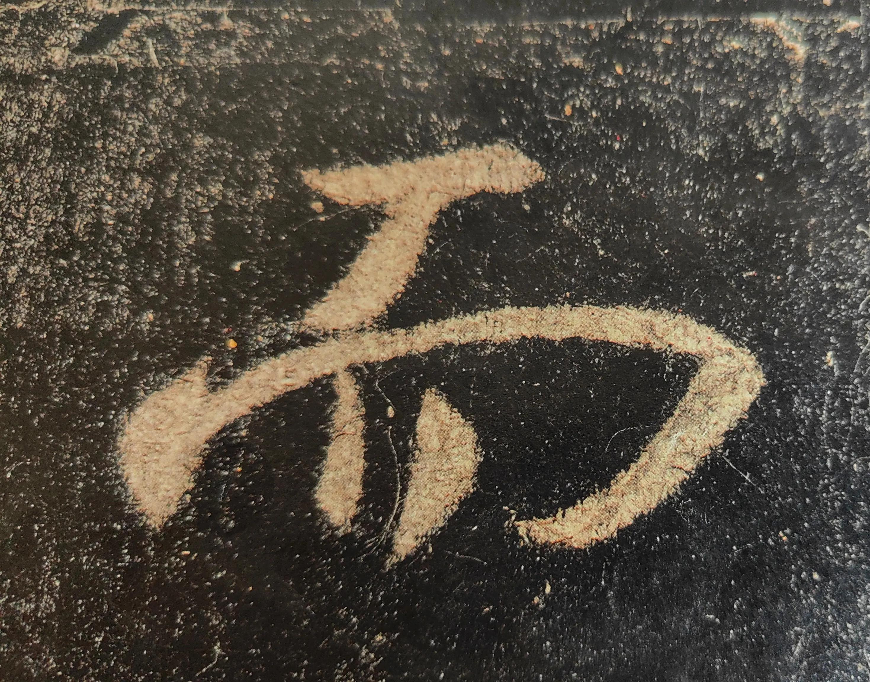 The mystery of calligraphy - iNEWS