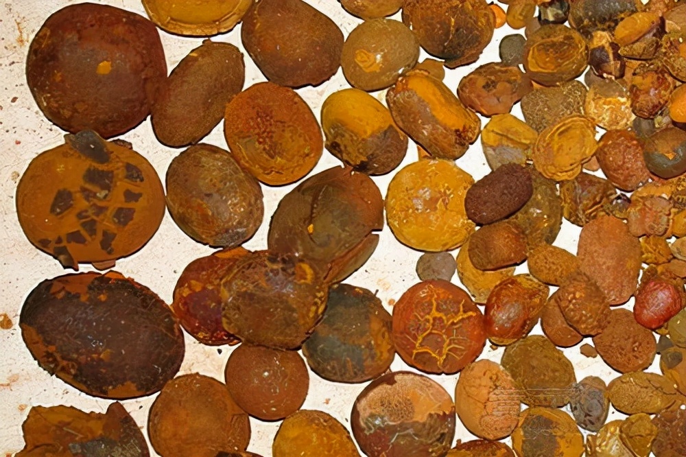 "Toothache magic drug" artificial bezoar metronidazole, why do the ...