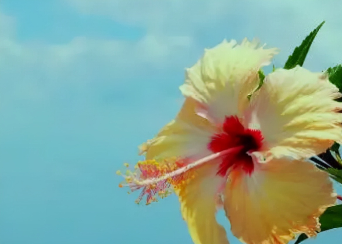 "The Analects": wise man, not random, not absolute, not stubborn, not ...