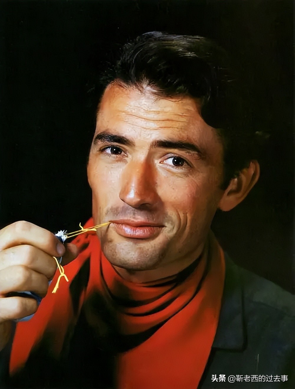 The embodiment of family hatred and female consciousness in the movie ...