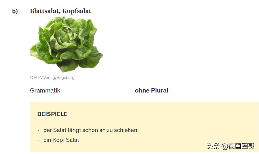 All about salads: Do you know what Salat means in German? - iNEWS