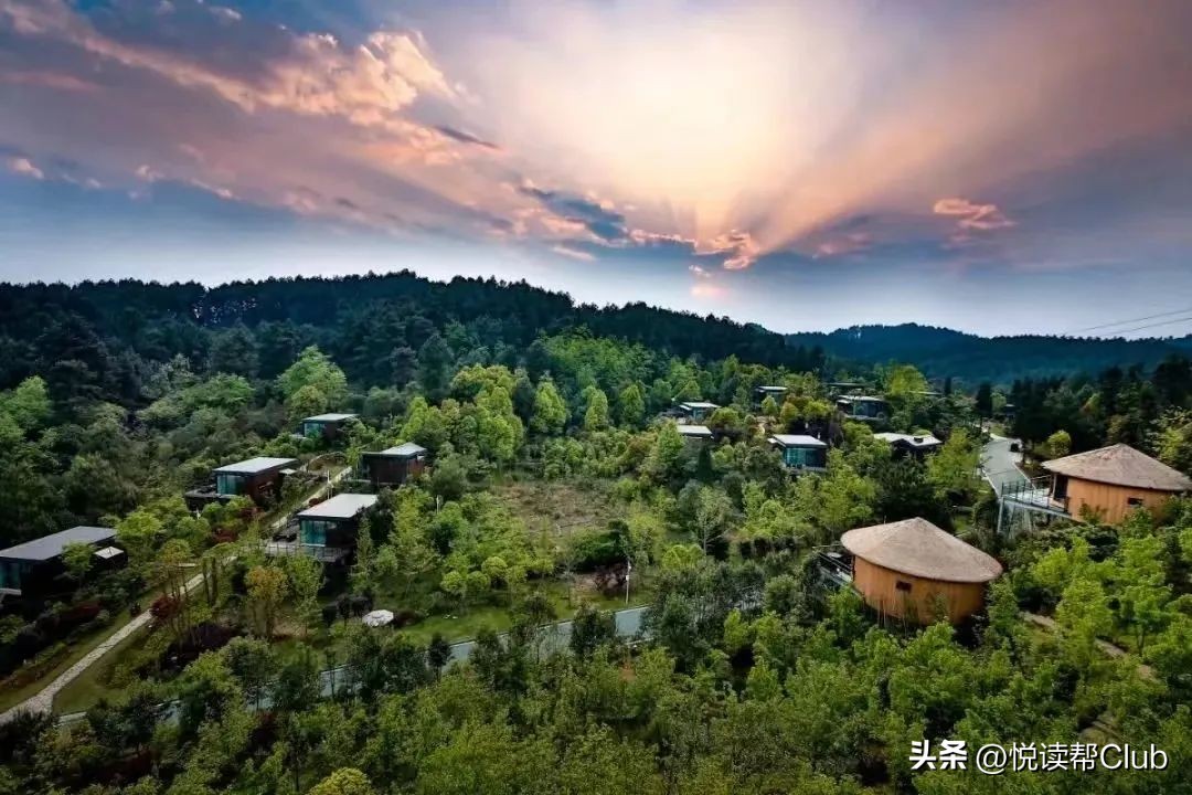 So beautiful!These "hidden" homestays in the forest in Anshun let you ...