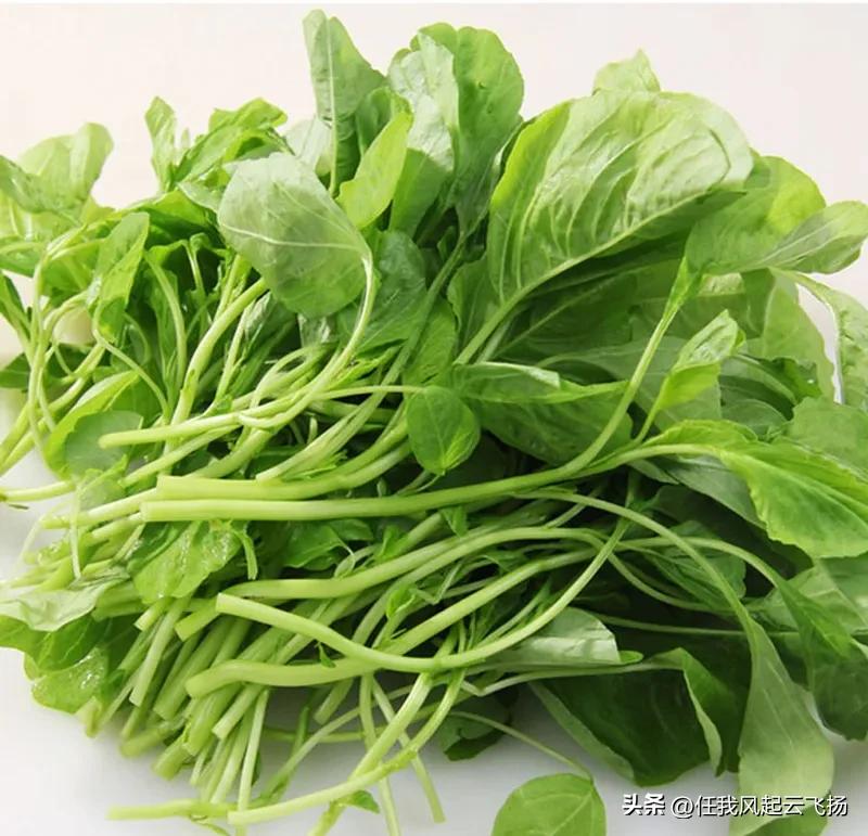 Red Chinese cuisine is popular all over the world, to remove the five ...