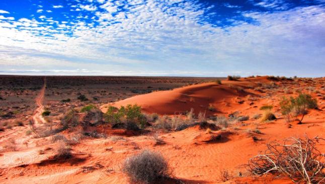 Impact of Human Activities on the Environment of Simpson Desert and Its ...