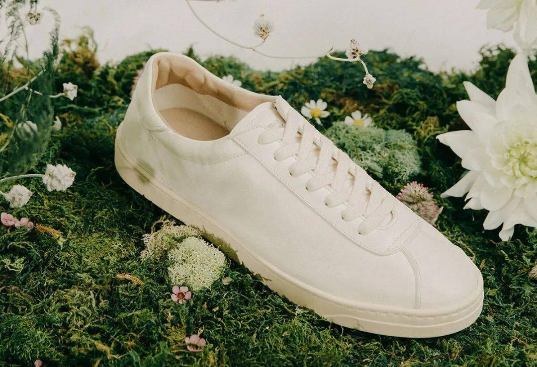 99% biodegradable sneakers! New American brand Koio reaches a milestone ...