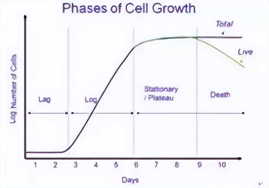 How are cell counts performed? - iNEWS