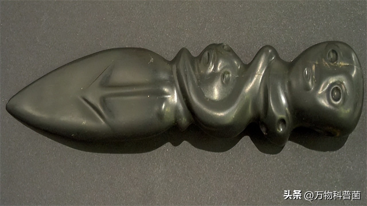 Columbia "genetic discs" and medical devices. Hospital of unknown ...