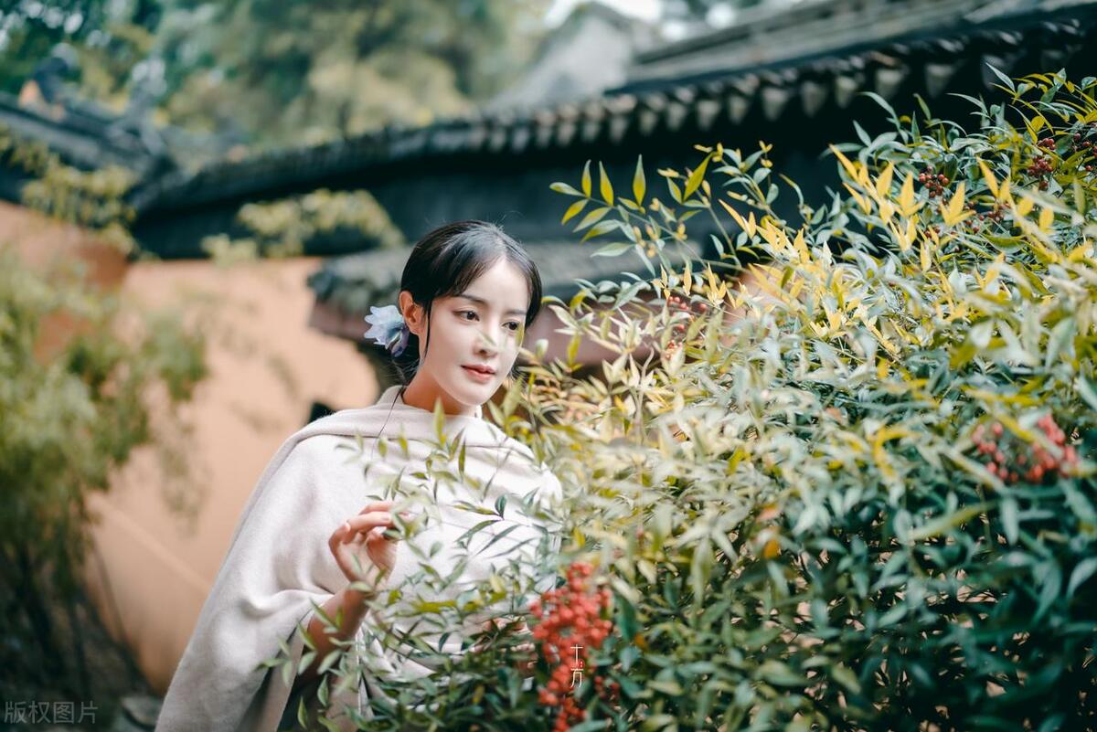 "Zen Wisdom"Confucius: Human nature is half beast and half divinity - iNEWS