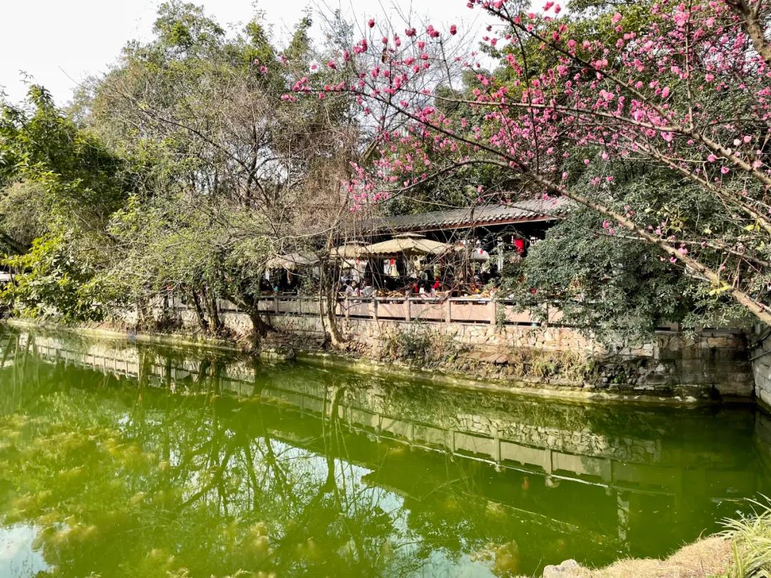 Talking about Heming Tea House in Chengdu People's Park - iNEWS