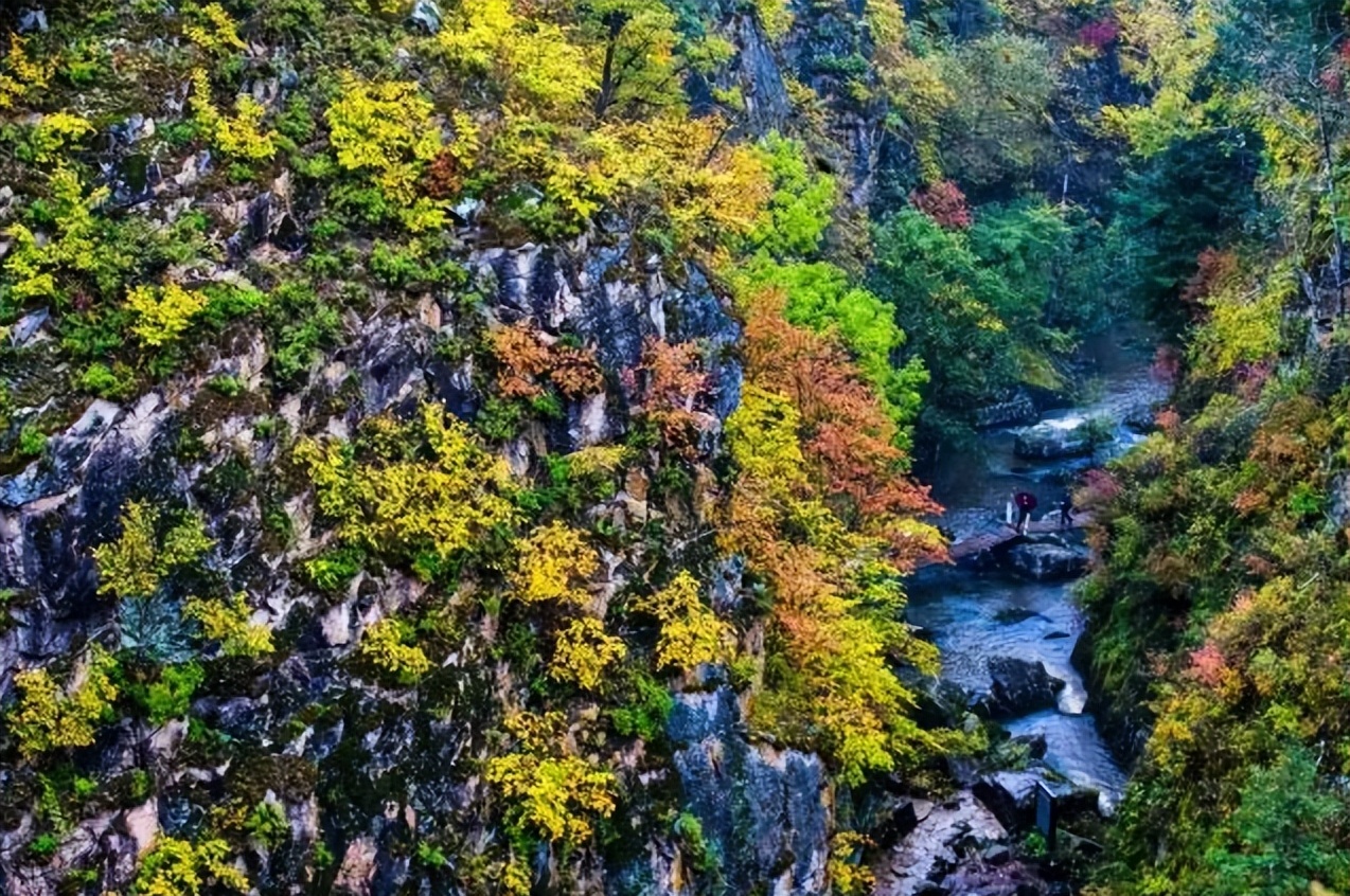 Yichun hides the most beautiful autumn in Xiaoxing'anling - iMedia