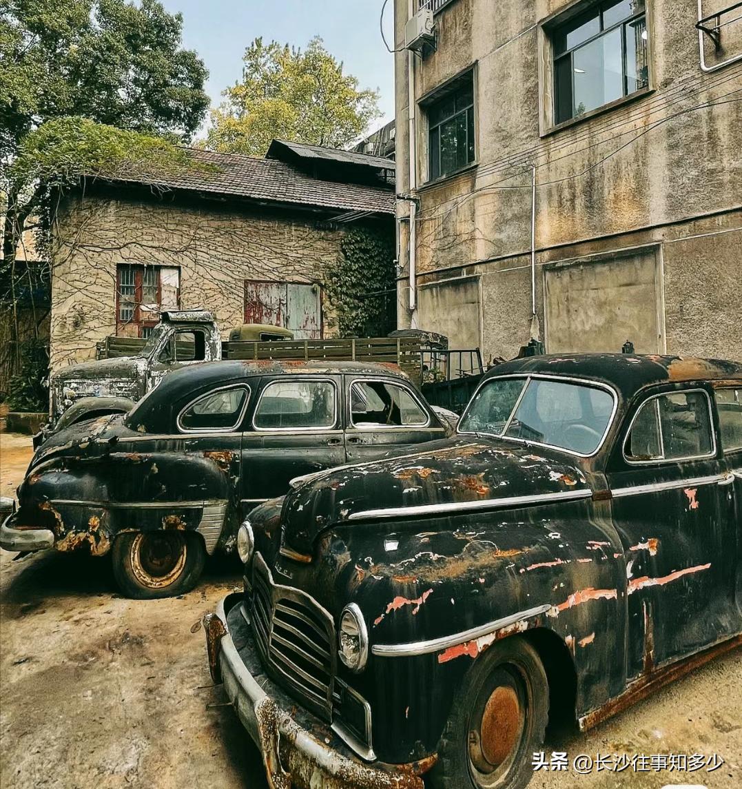 Glory and silence, the past and present of this old film studio hidden ...